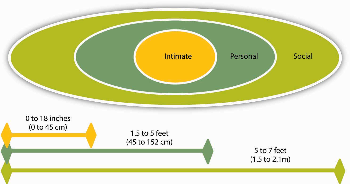Different Types Of Communication Principles Of Management 2022 