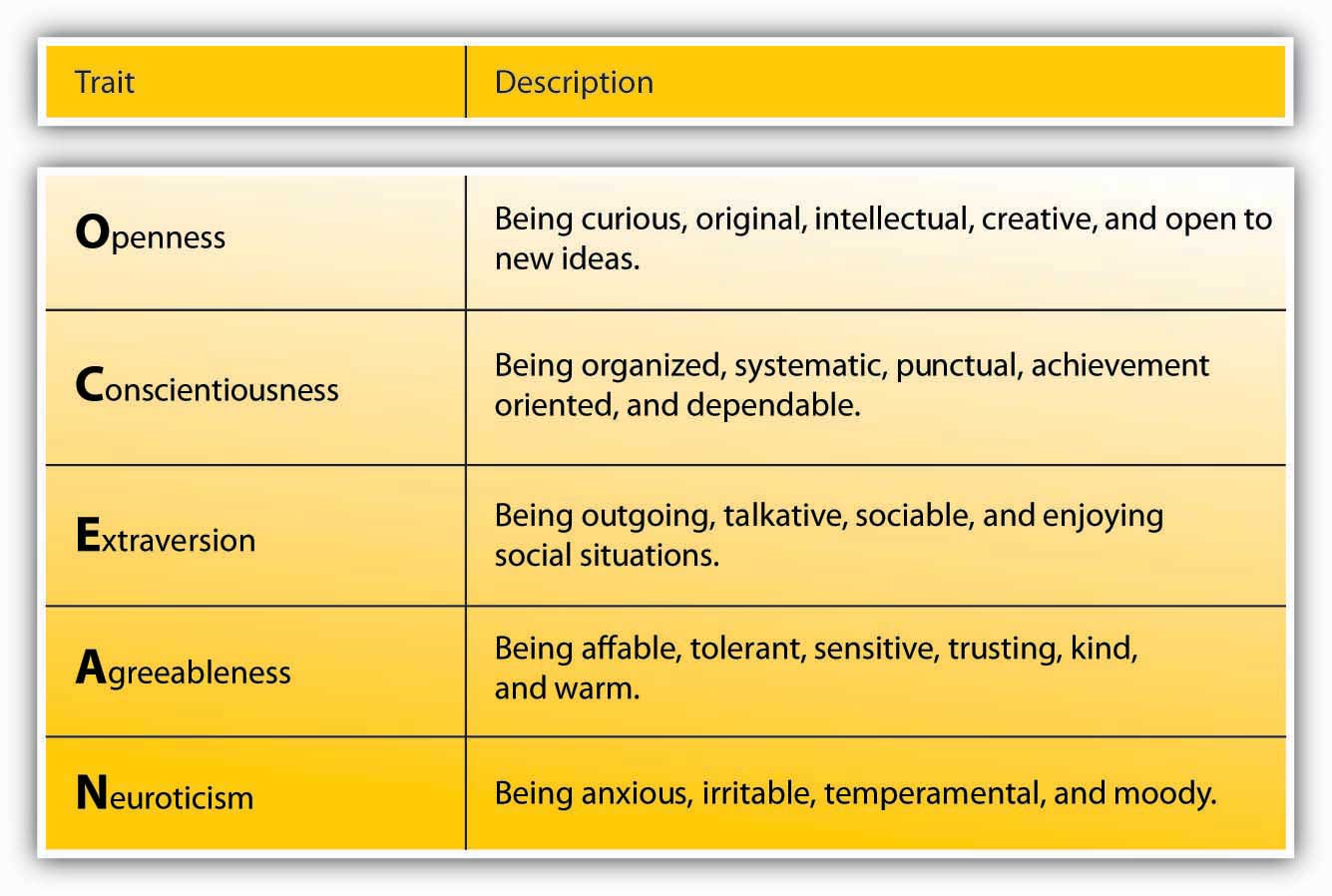 3 3 Individual Differences Values And Personality Organizational 
